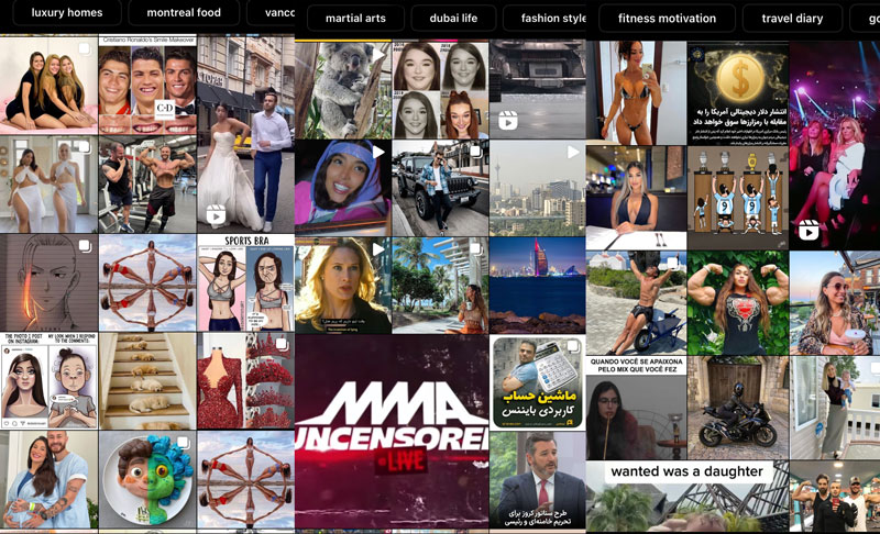 Instagram And The New Algorithm | Social Tradia