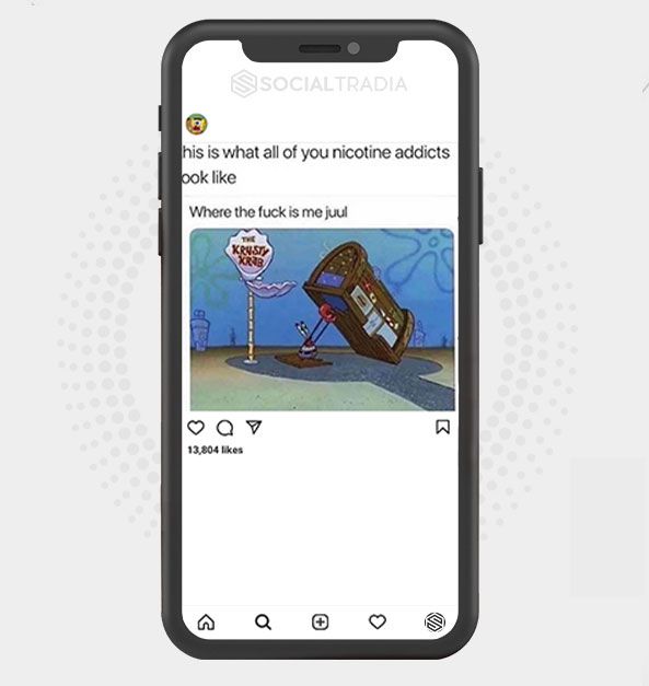 Bob Memes (114 k Followers) | Social Tradia