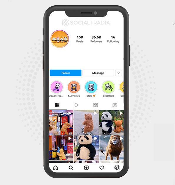 Funny Panda (86.6 k Followers) | Social Tradia