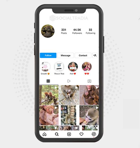 About Monkey (44.4 k Followers) | Social Tradia