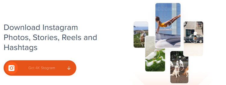 8 Top Imginn Alternatives for Instagram Downloading | Social Tradia