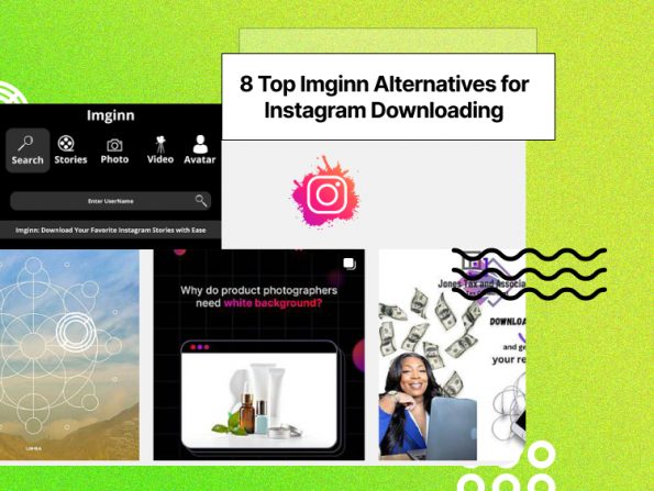 8 Top Imginn Alternatives for Instagram Downloading | Social Tradia