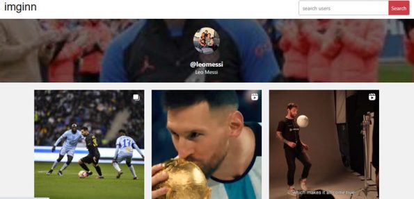 8 Top Imginn Alternatives for Instagram Downloading | Social Tradia