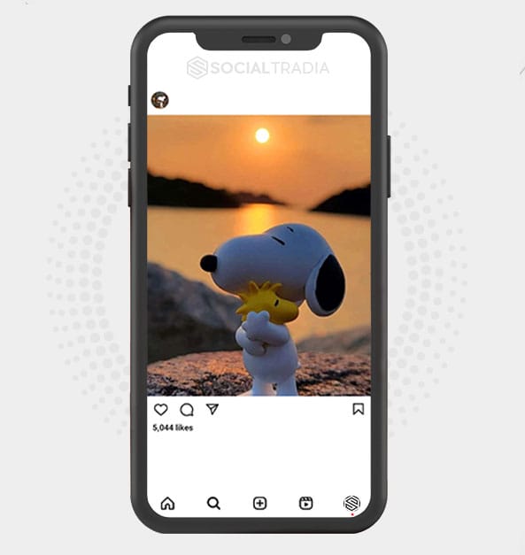 Snoopy Here (48.6 k Followers) | Social Tradia