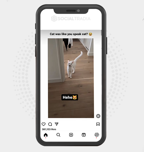 Kitty Hub (30.4 k Followers) | Social Tradia