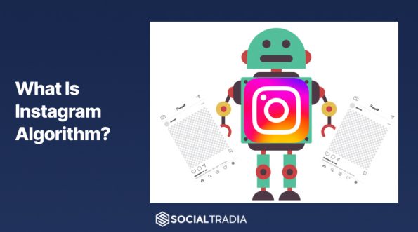Tips and Tricks for Instagram Algorithms for Story Views | Social Tradia