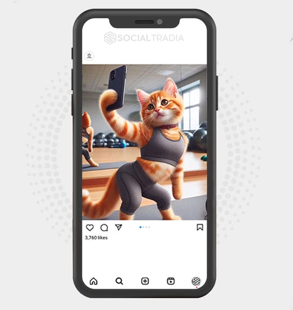 CatStand (7 k Followers) | Social Tradia