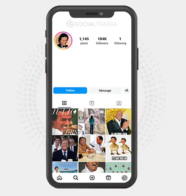 Ultimate Fun (184 k Followers) | Social Tradia