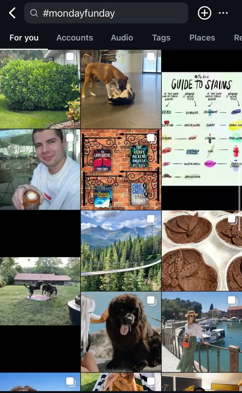 Trending Monday Hashtags for More Engagement | Social Tradia