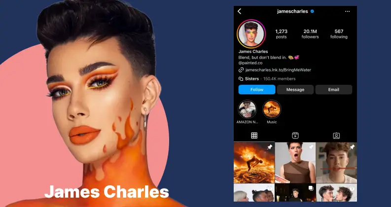 Top 20 Instagram Influencers With Fake Followers | Social Tradia