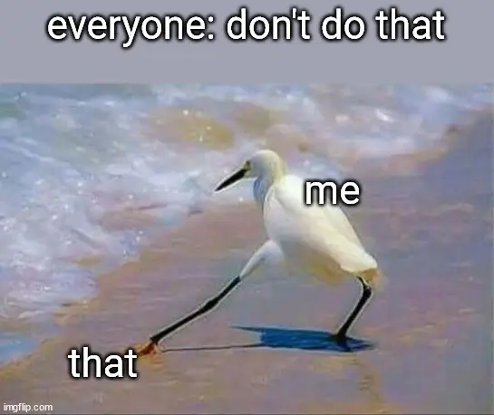 Top 40 Popular Memes on Social Media in 2024 | Social Tradia