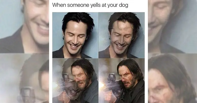 Top 40 Popular Memes on Social Media in 2024 | Social Tradia