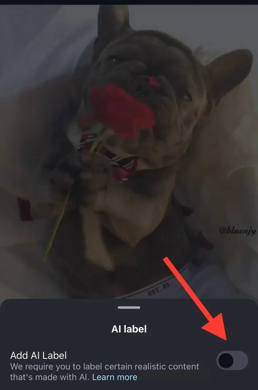 How to Remove AI From Instagram | Social Tradia