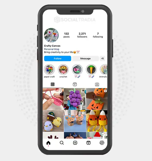_craftty_canvas_ (2.2 k Followers) | Social Tradia