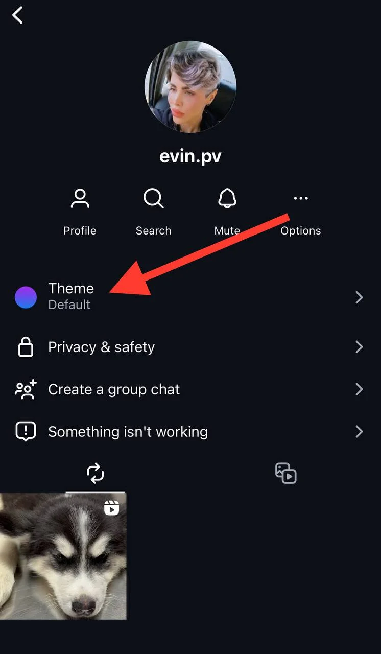 How to Change Themes on Instagram DMs | Social Tradia