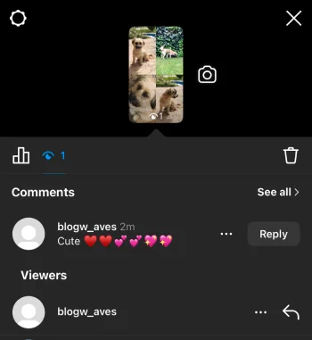 Instagram Story Comments: Everything You Need to Know | Social Tradia