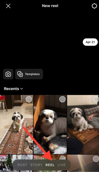 Instagram “Trial Reels” - Everything You Need to Know | Social Tradia