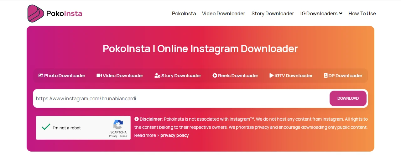 Top 10 Instagram Profile Picture Downloaders for 2025 | Social Tradia