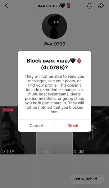 How to Easily Block and Unblock Someone on TikTok: Step-by-Step Guide ...