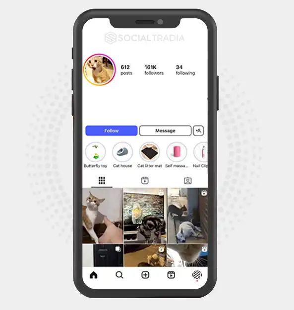 Meow Moment (231 k Followers) | Social Tradia