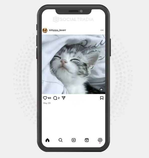 Buy Instagram Account | 2k to 5k Followers | Social Tradia