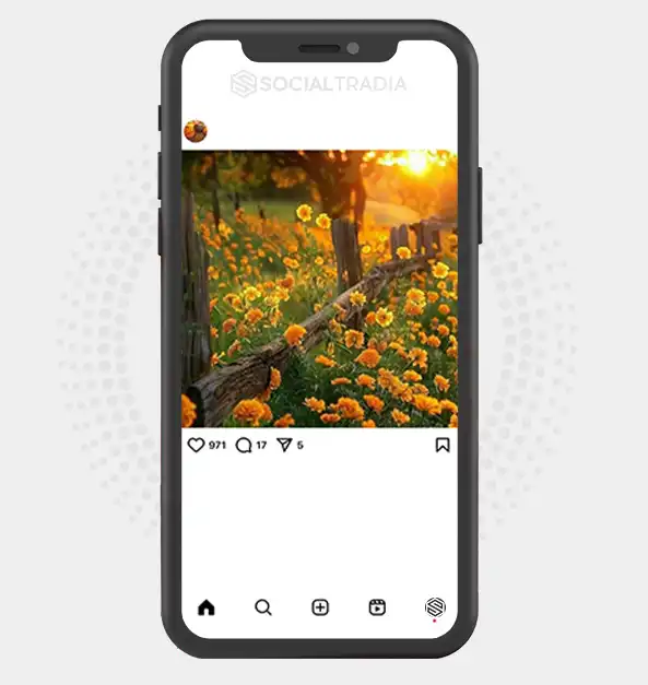 Trip Moment (3.5 k Followers) | Social Tradia