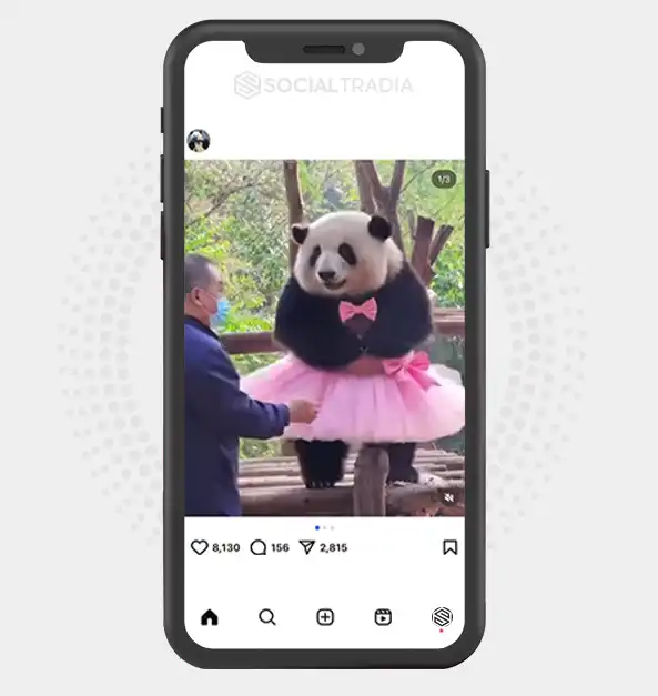 Panda Society (798 k Followers) | Social Tradia